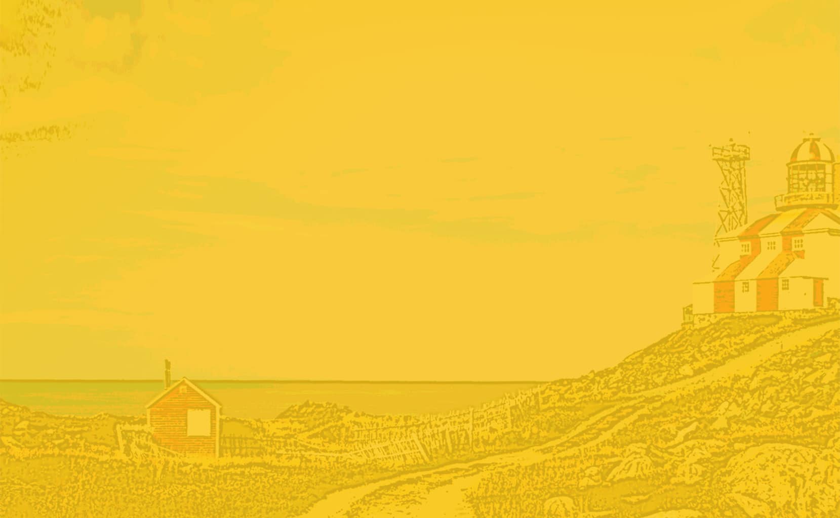 Purity Factories - Treat Yourself