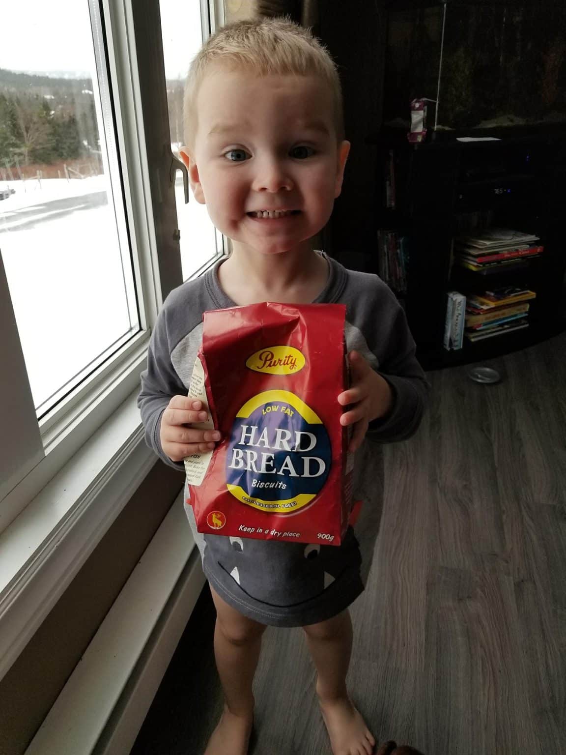 100 Years of Purity - Purity Factories