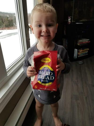 100 Years of Purity - Purity Factories