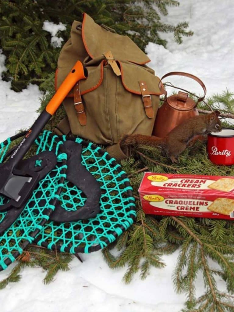 100 Years of Purity - Purity Factories