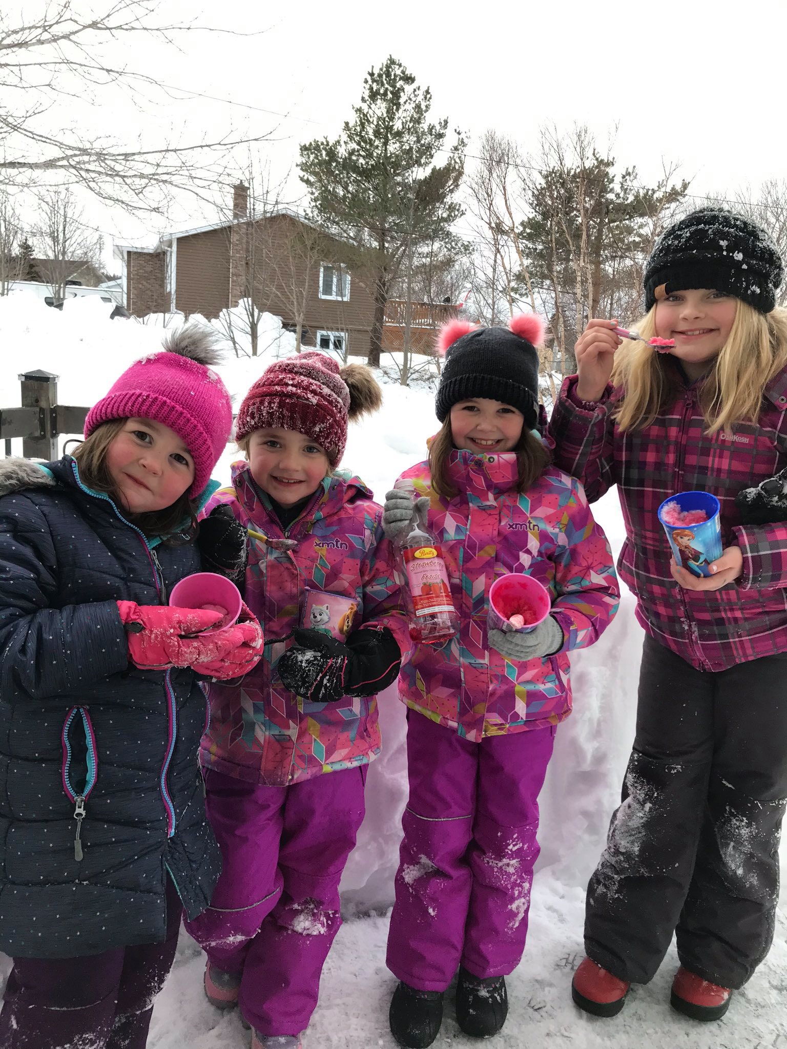 100 Years of Purity - Purity Factories